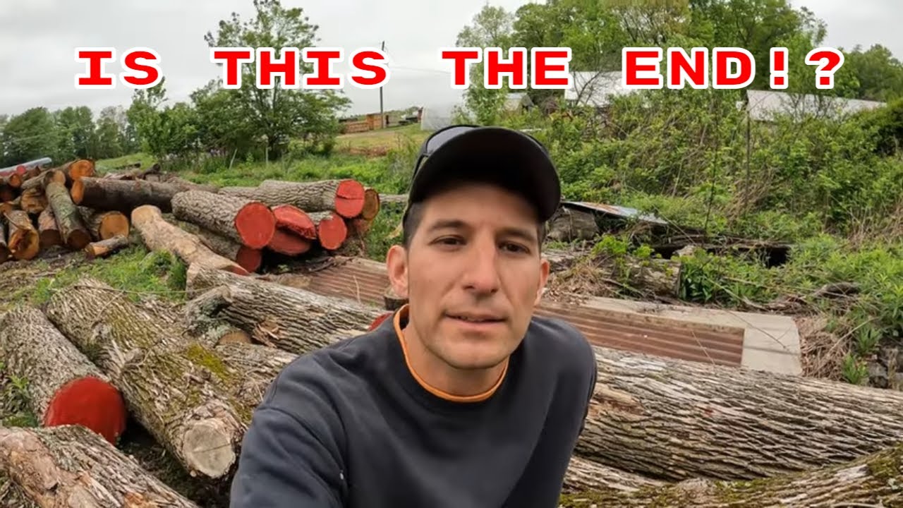 The Last Ash Logs I'll Ever Saw? - YouTube