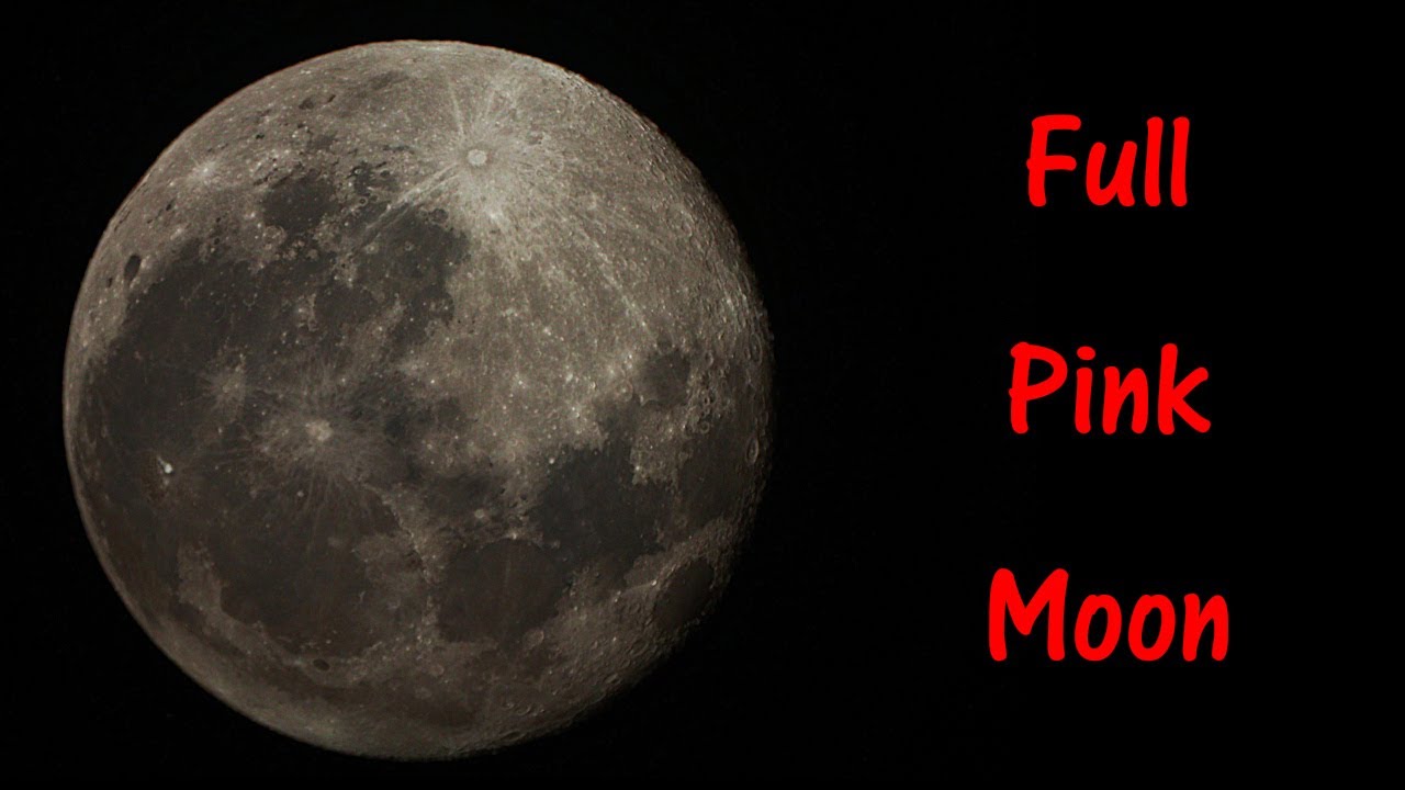 Pink Moon Live! - YouTube