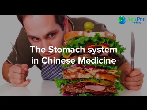 The Stomach in Chinese medicine - YouTube