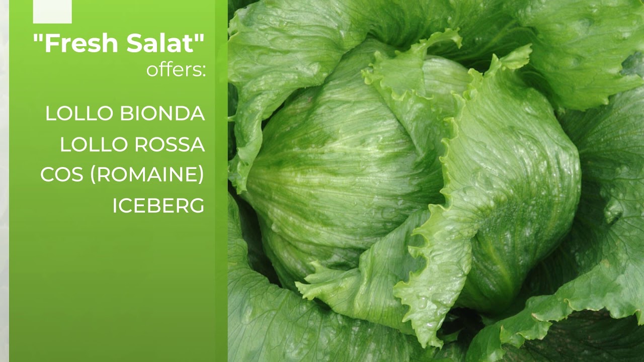 Salads, TM Fresh Salat - YouTube
