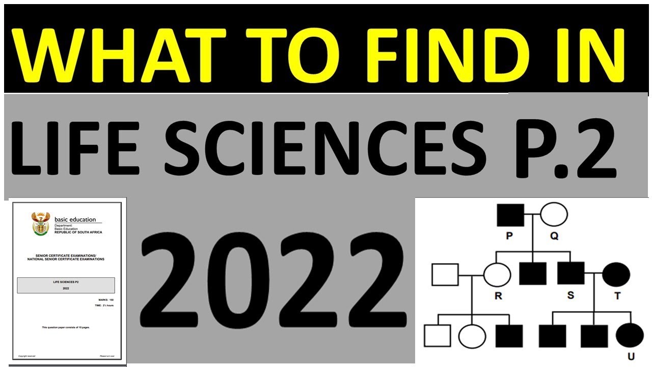 grade 12 life sciences 2022 : get answerd by m.saidi - YouTube