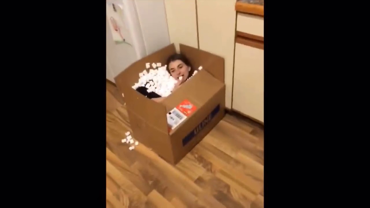 Don’t eat the packing peanuts! | TIK TOK MEME - YouTube