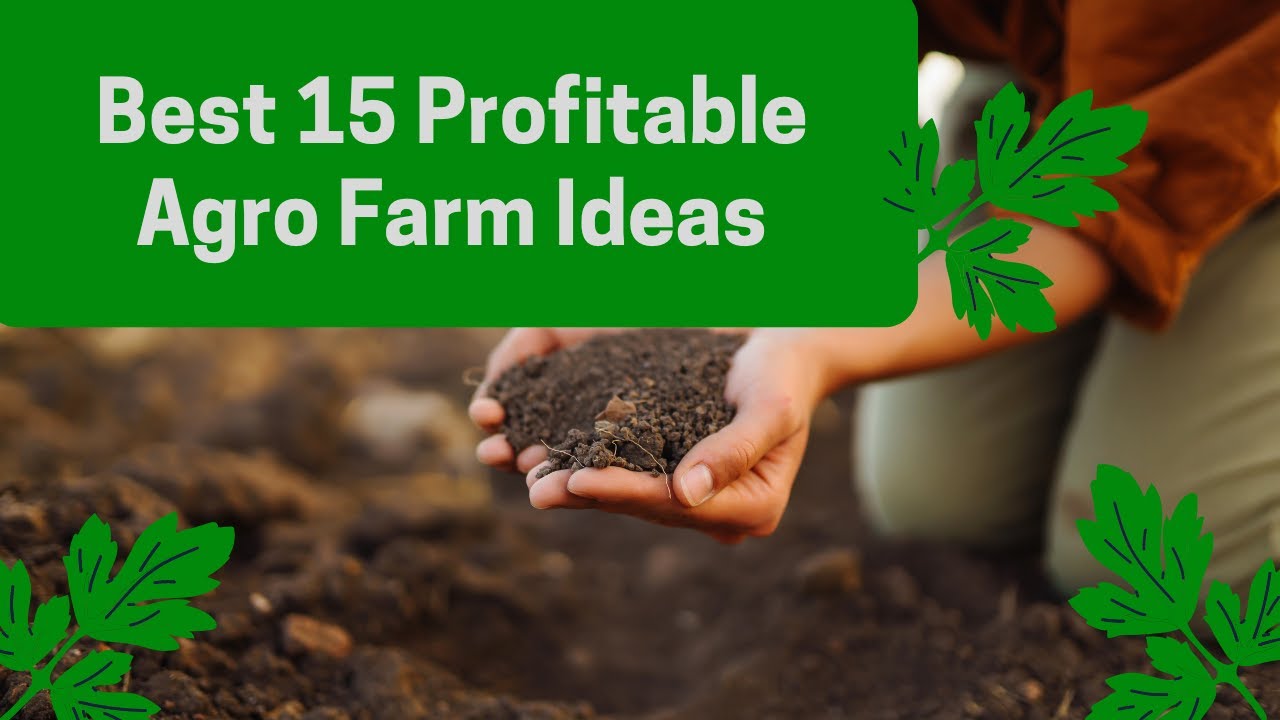 Best 15 Profitable Agro Farm Ideas | Start Your Own Sustainable Farm ...