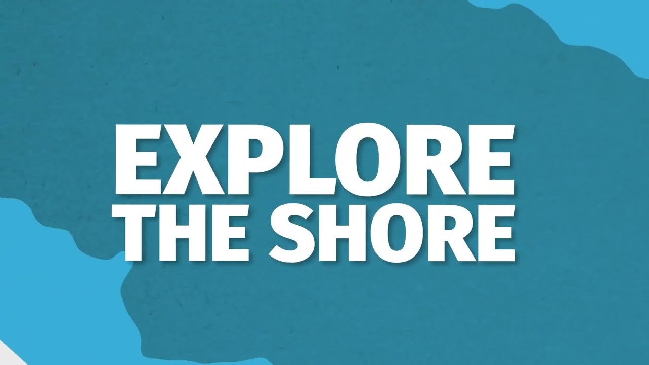 Explore The Shore - Discover the amazing marine world on our coasts ...