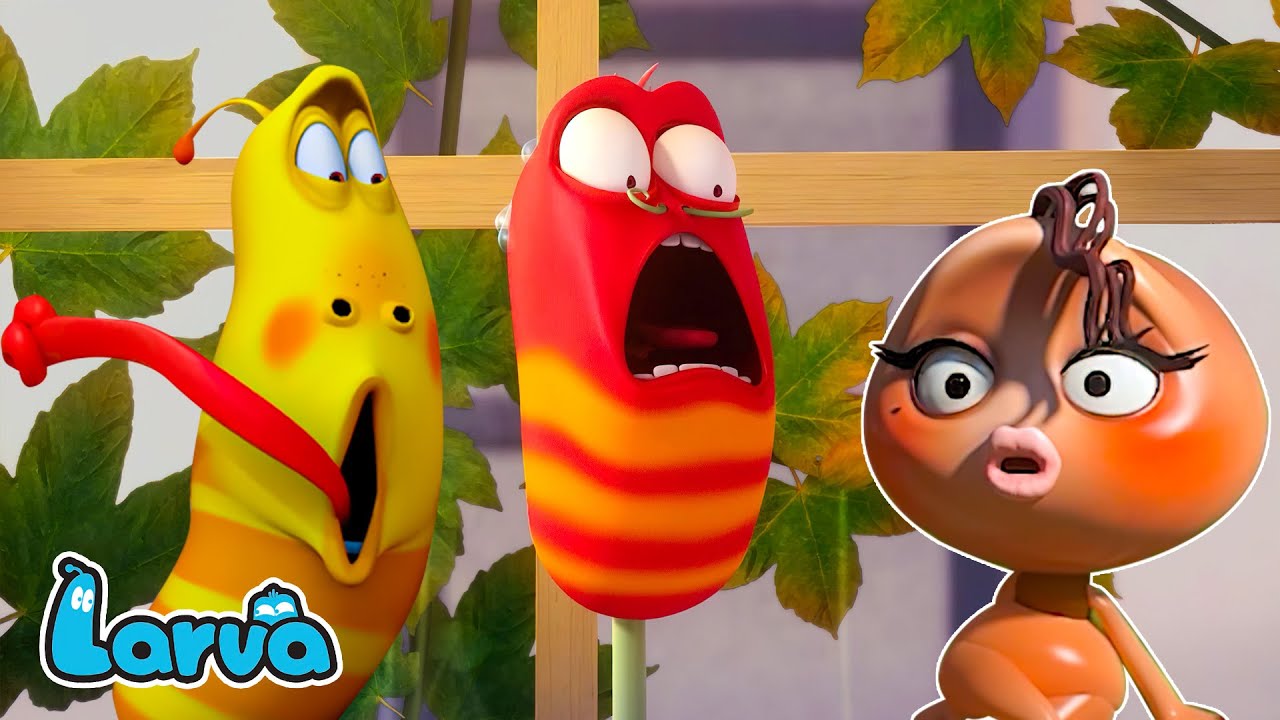 LARVA ! BEANS GROW IN RED PEOPLE🌟 CARTOON FOR LIFE 🌈🌟 CARTOONS MOVIES ...
