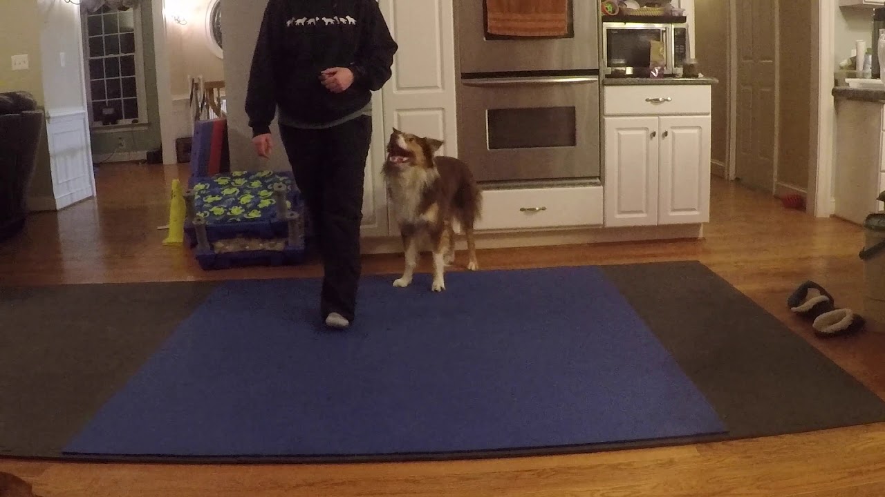 Gambit - working on our dance moves - 02-12-2018 - YouTube