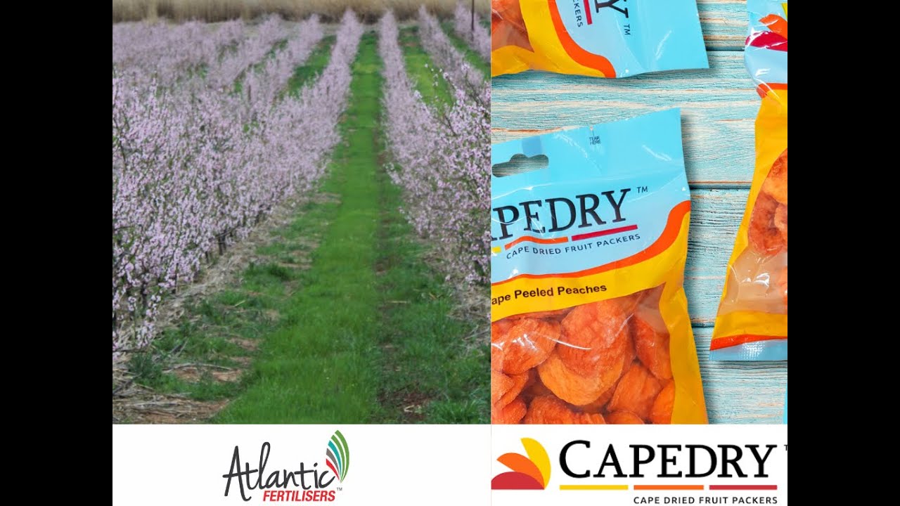 Atlantic Fertilisers and Cape Dried Fruit Packers work closely together ...