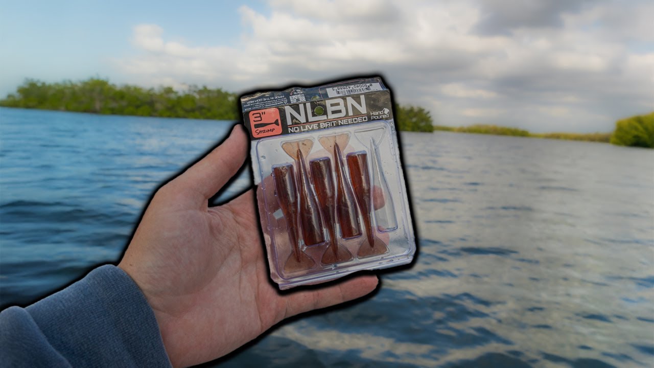 Fishing with the NEW NLBN SHRIMP! - Florida Fishing - YouTube