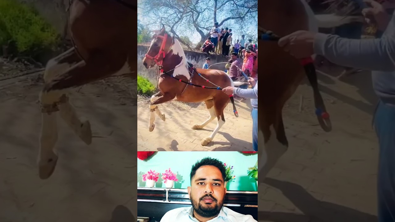 Location Tere Gaon Ki #trending #comedy #lovedance #reels #funny #vikramvibes #shorts #dance # ...