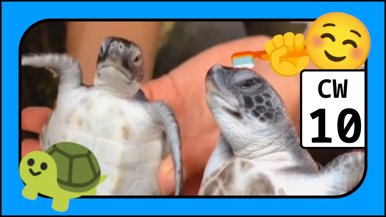 Monday Recharge - CW10 - YouTube