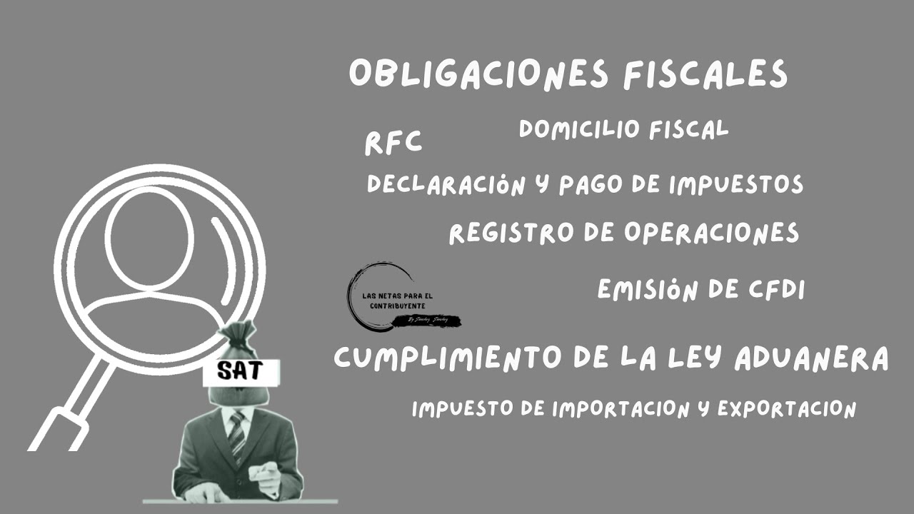 ¿Cuál es la función de la SHCP y el SAT? - YouTube