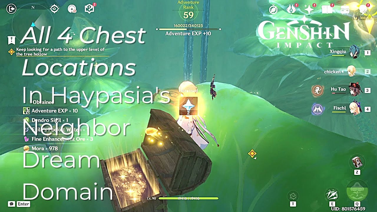 All 4 Chest Locations In Haypasia's Neighbor Dream Domain - Genshin ...