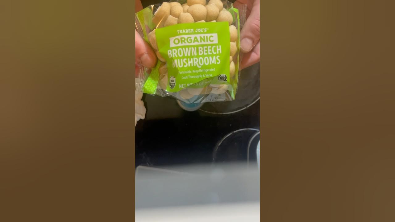 How to Grow Mushrooms from Trader Joe’s at Home: Myco Punch work!! - YouTube