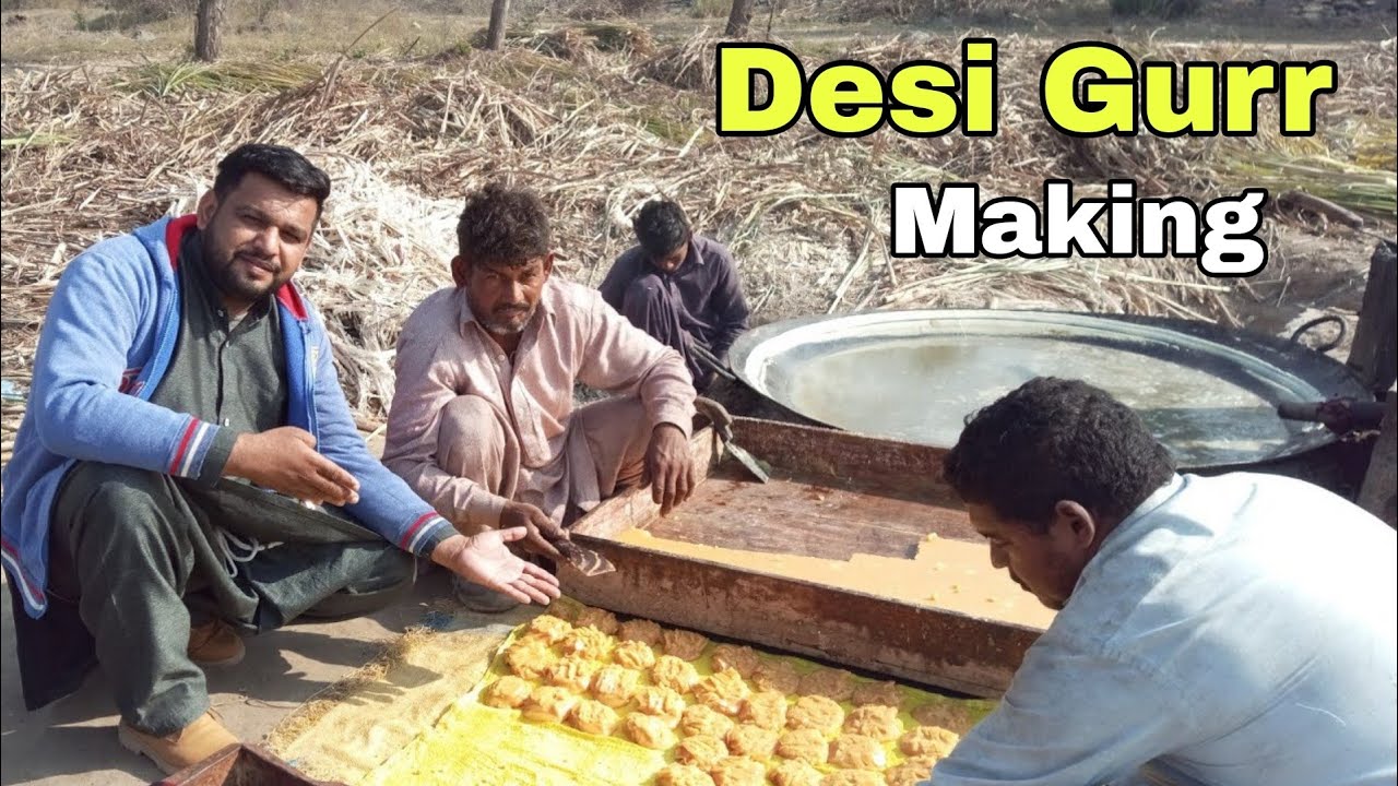 Pro Organic Jaggery Gur making process 100℅ Traditional Village style ...