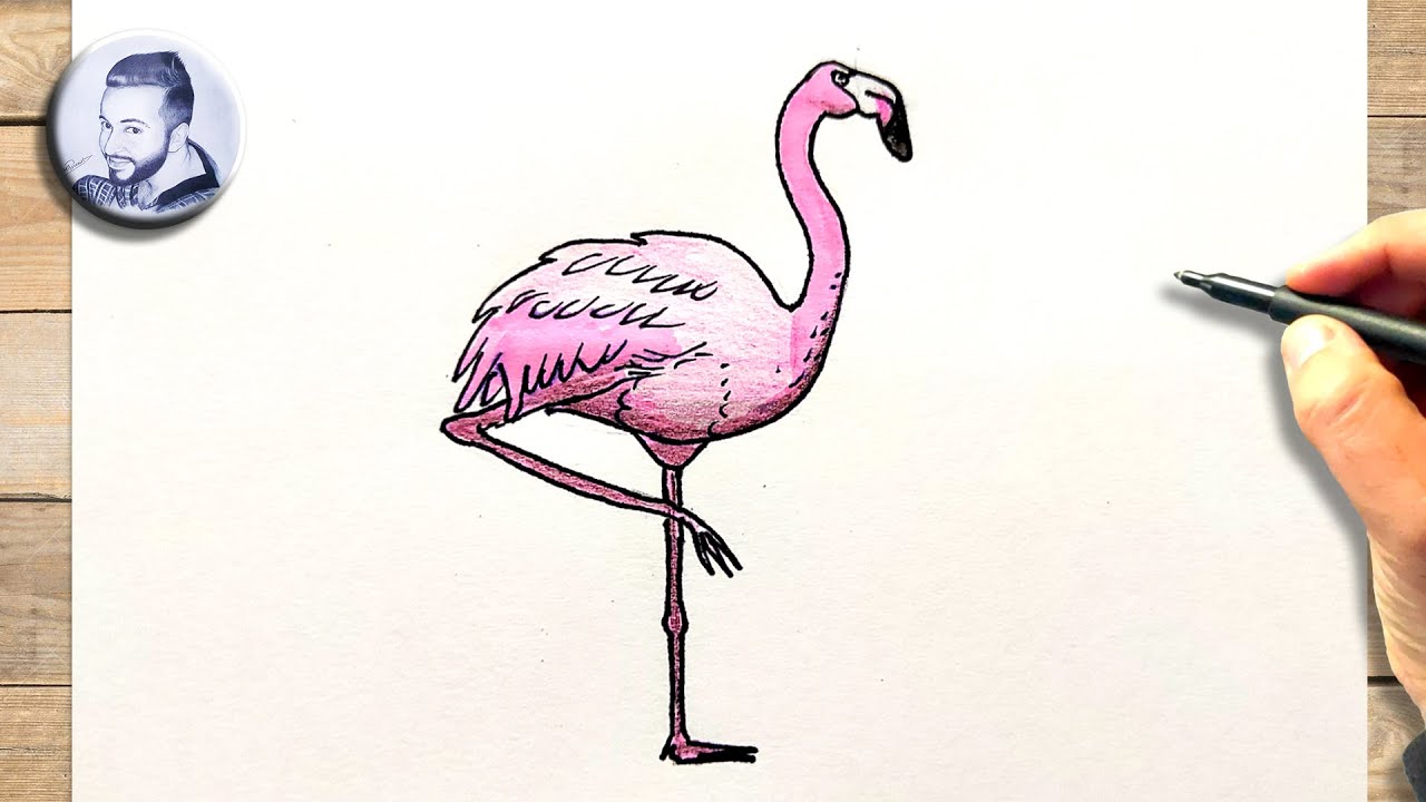 Comment dessiner un flamant rose facile à dessiner - YouTube