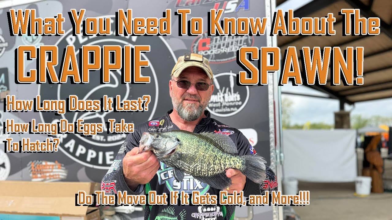 FACTS YOU NEED TO KNOW ABOUT THE CRAPPIE SPAWN, EP 1025 - YouTube