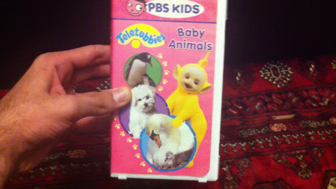 VHS Update for March 9, 2017 - YouTube