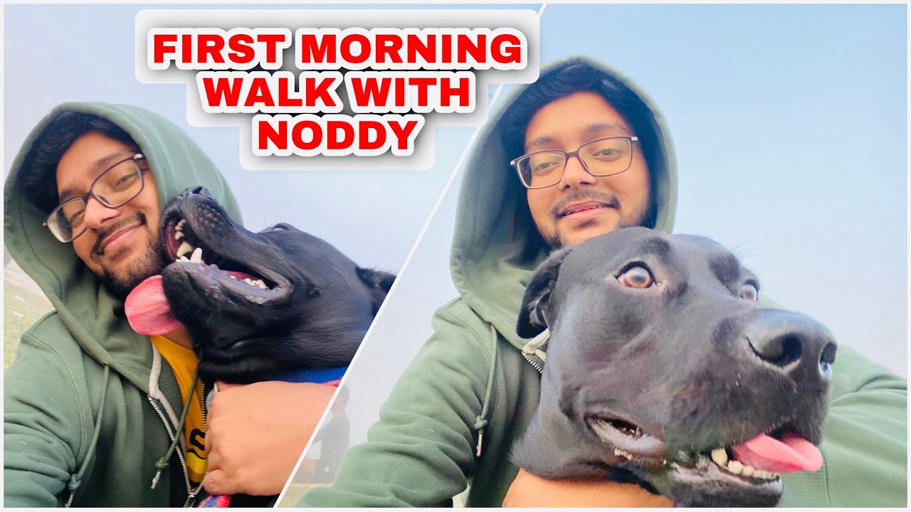 FIRST Morning WALK | AND THIS HAPPENED.... | BLACK LABRADOR - YouTube