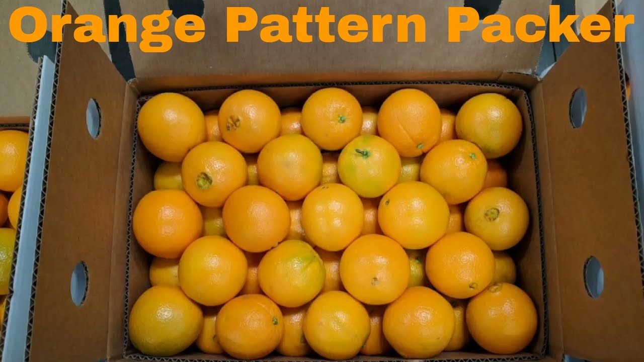 Sunkist Orange Patern Packer - YouTube