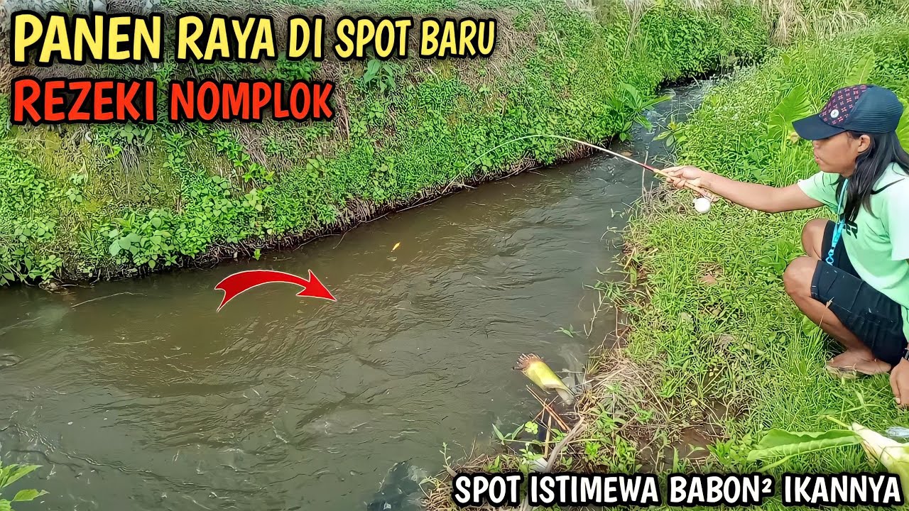 PECAH REKOR..!! Mancing Wader Babon Di Spot Baru || Plung Nyot Umpan Di Lempar Langsung Di ...