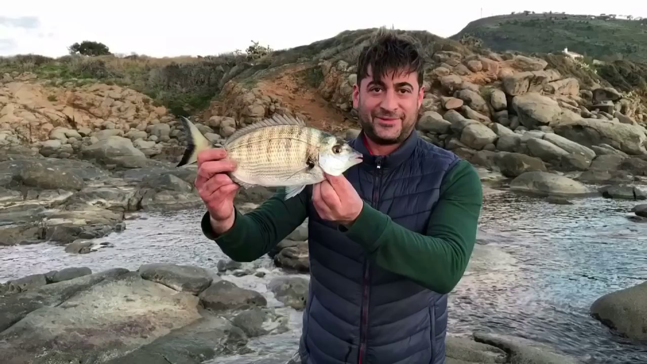 Bel sarago pizzuto XL e canna in piega a 90 gradi ... - YouTube