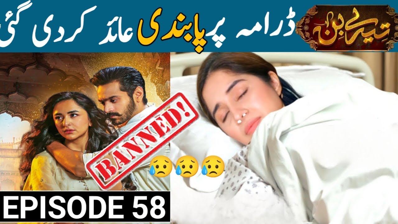 Why Tere Bin Last Episode Not Telecast Har Pal Geo Dramas|Tere Bin Last ...