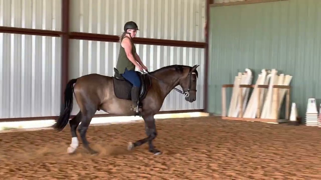 Romulus Rising Trot Right 8/2022 - YouTube