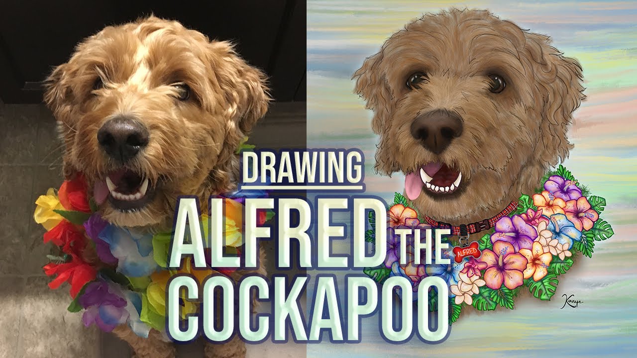 Drawing Alfred the Cockapoo by KaryeOfficialArt - YouTube