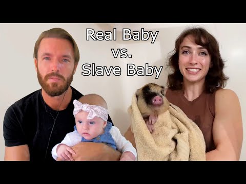 Leanbeefpatty: Infertile Pig Mommy Is Aging Like Milk @theleanbeefpatty