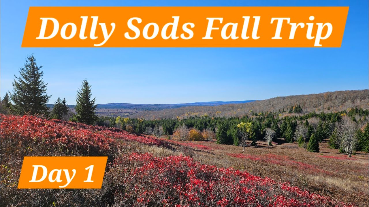 Fall Hiking in Dolly Sods: Day 1 - YouTube