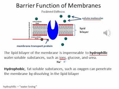 Narrated PowerPoint Example - YouTube