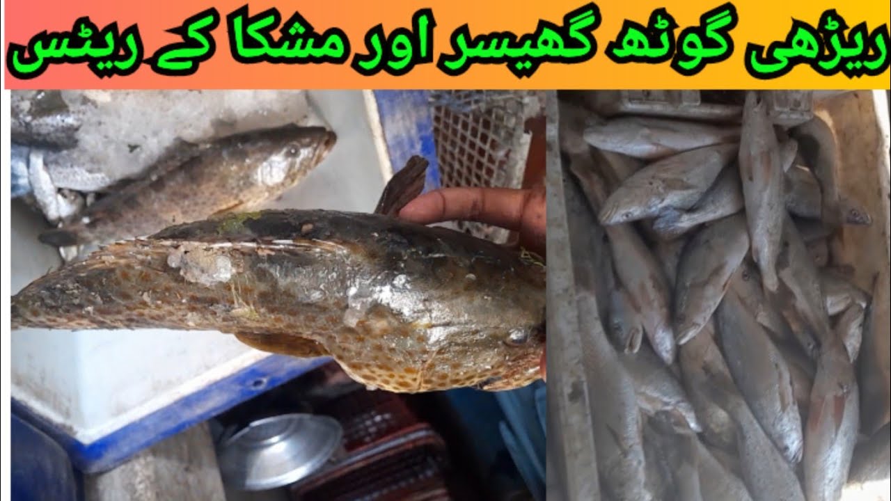 Rehri Goth fish & prawns latest rates updates 24 Jan 2023 - YouTube