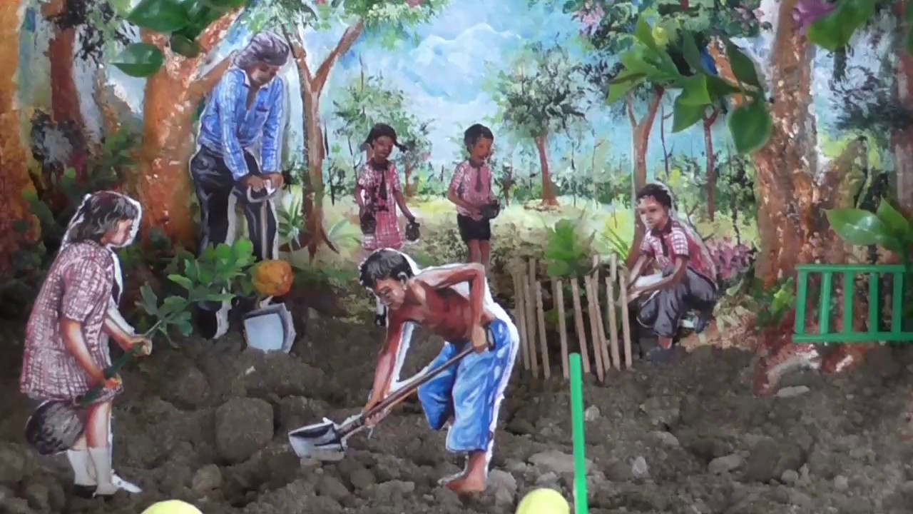 How to Make Tree Plantation School Project part 7 of 8 - YouTube