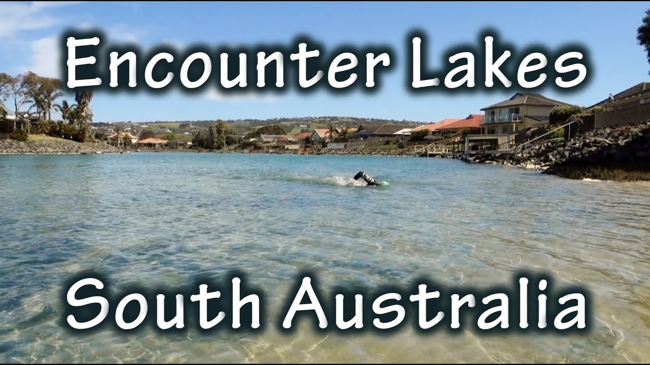 Physical Challenge #1 - Encounter Lakes Marathon Swim, South Australia ...