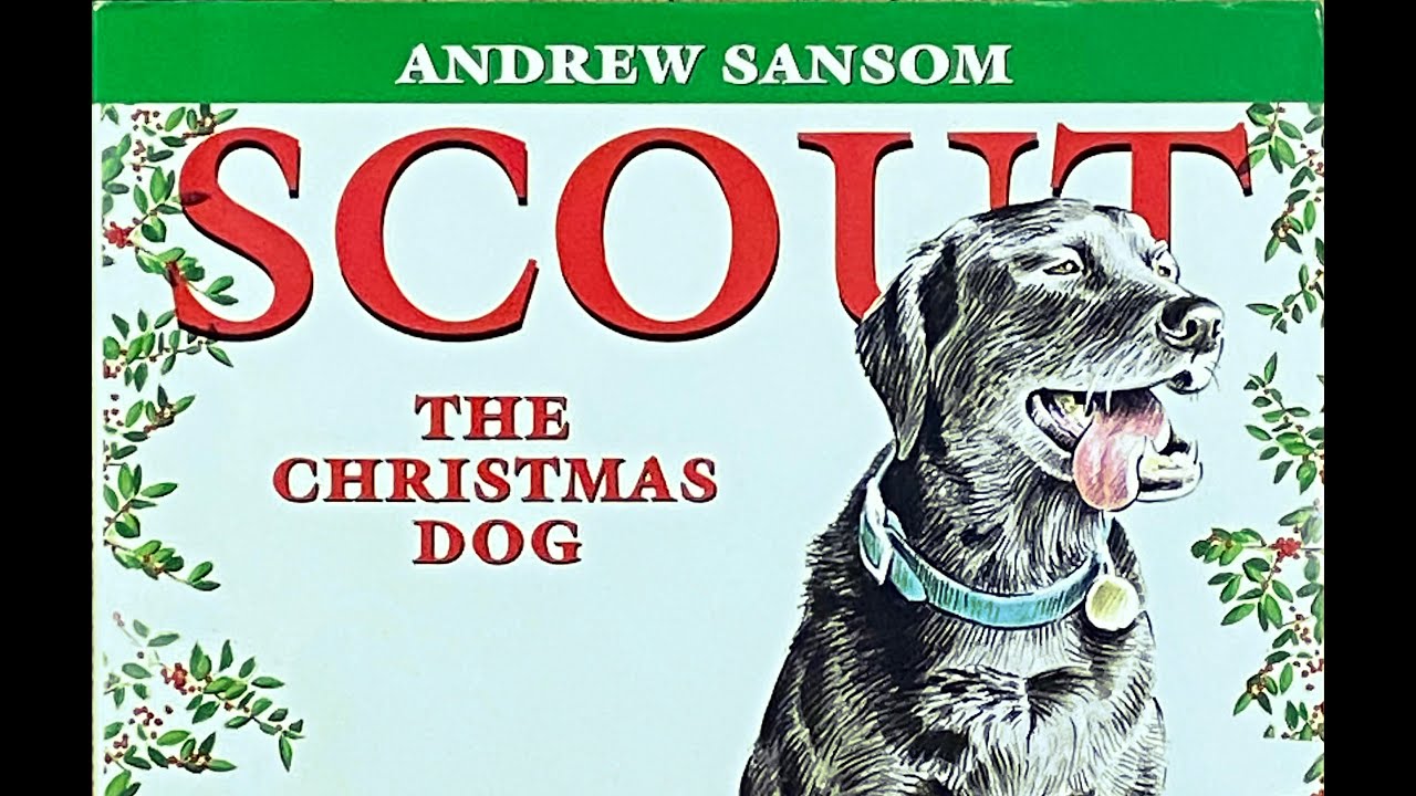 Scout the Christmas Dog - YouTube