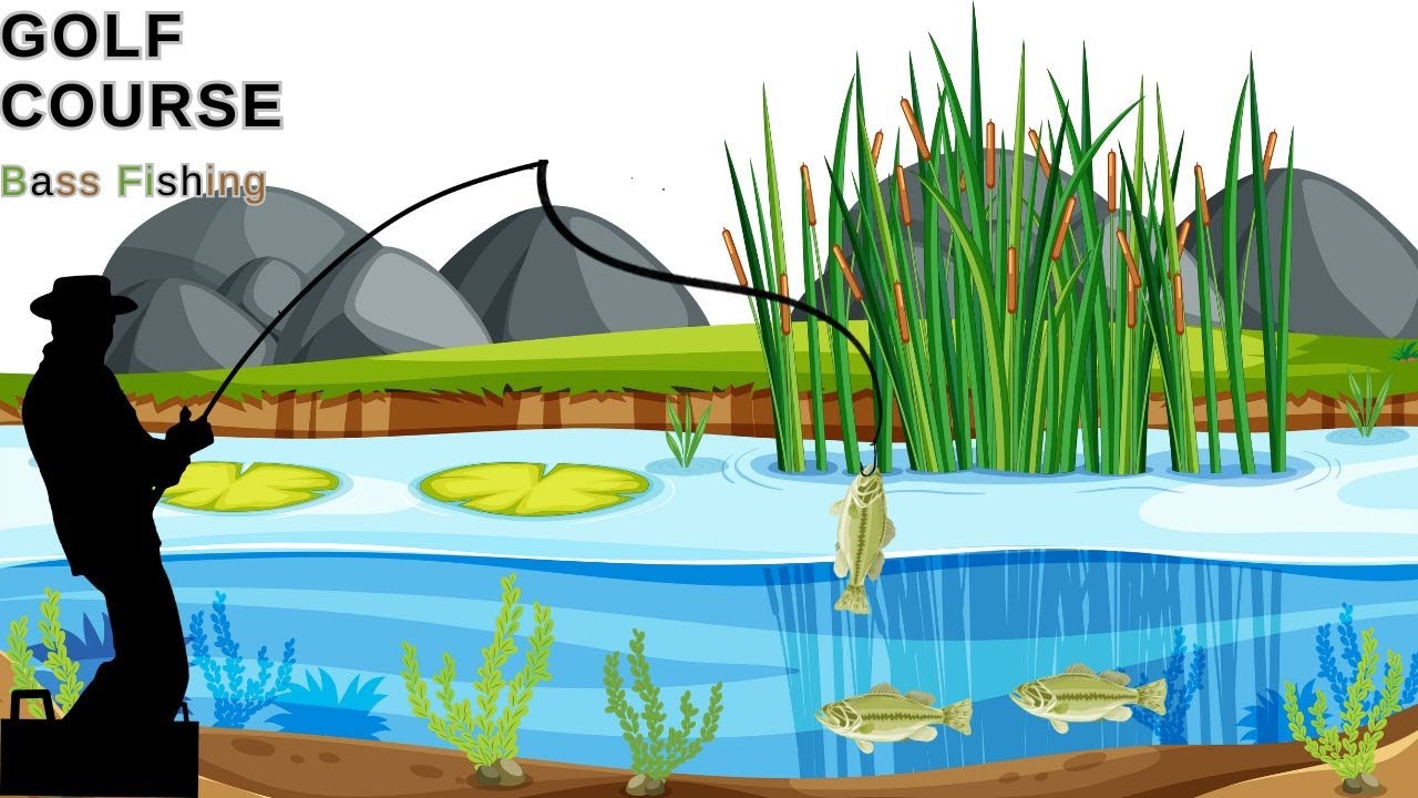 Bass Fishing Golf Course ponds in South Florida - YouTube