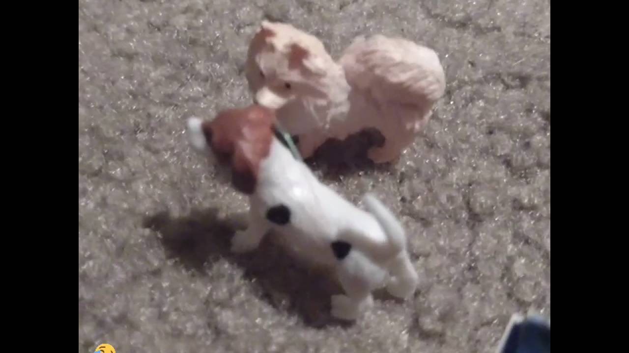 Breyer Horses Meet Breyer Pocket Box Dogs!!!!! - YouTube