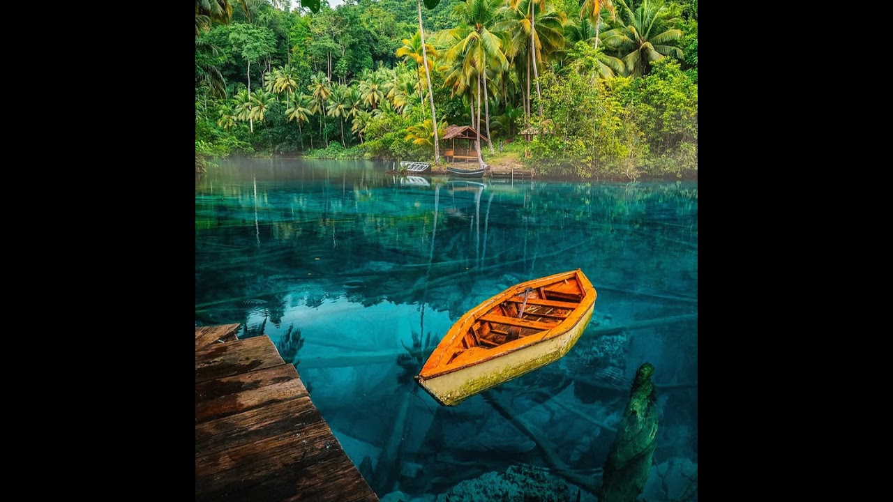 ature’s Serenity | Relaxing Forest Sounds with Birds, Flowing Water ...