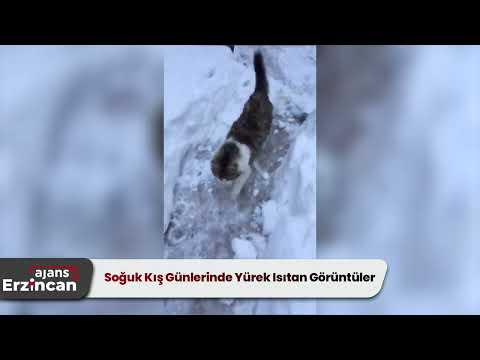 Soğuk Kış Günlerinde Yürek Isıtan Görüntüler