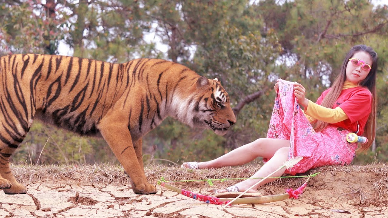 hunting comedy video too funny special amazing clip try not to laugh ...