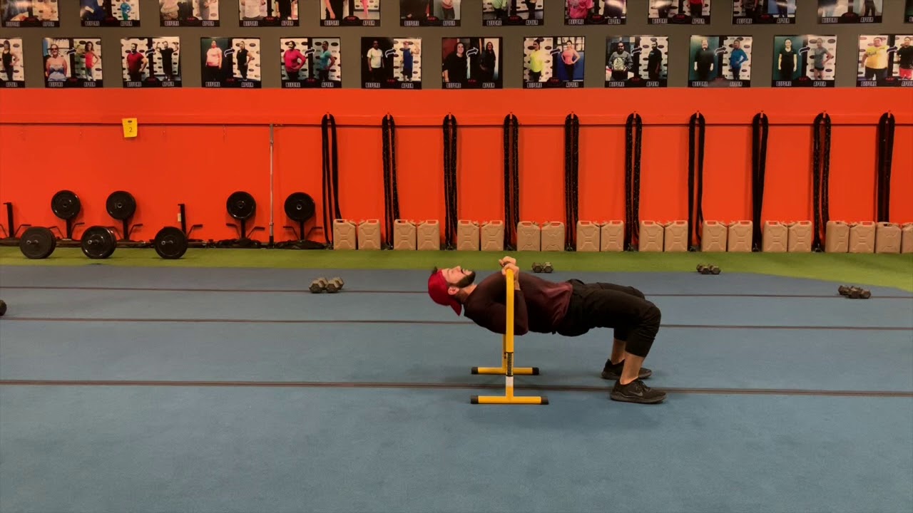 Single Lebert Equalizer Inverted Row Underhand Grip - El Paso Weight ...