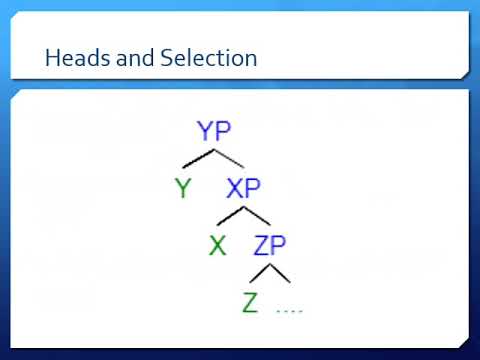 Modern Syntax in Linguistics - YouTube