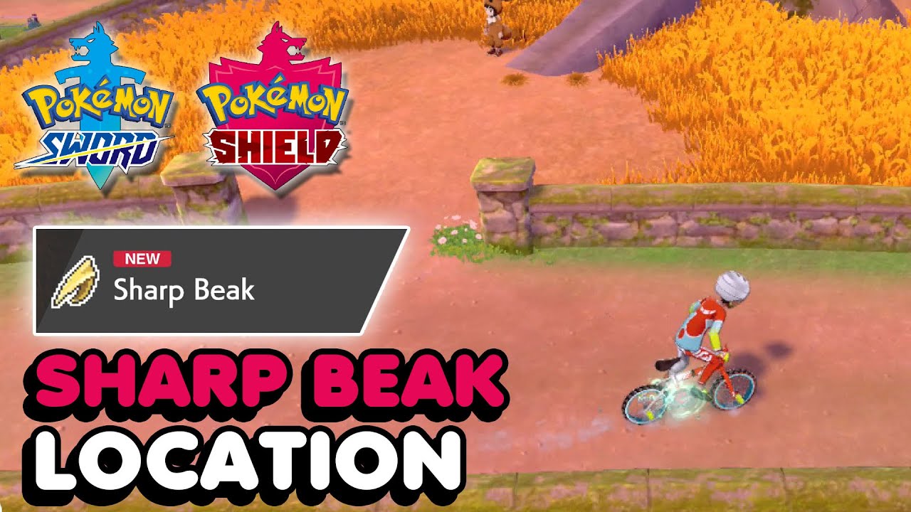 Sharp Beak Location In Pokemon Sword & Shield (Boost Flying Type Moves ...