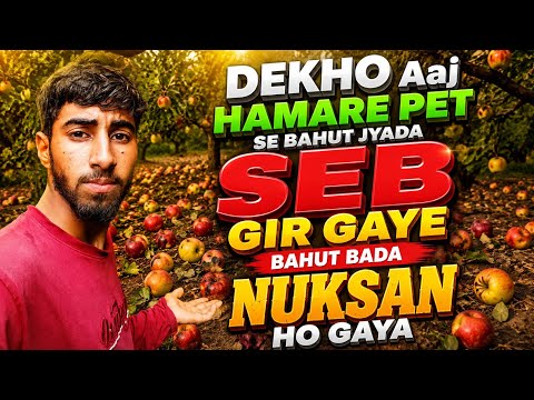 😱 Hamare Ped Se Bahut Sare Seb Gir Gaye | Bahut Bada Nuksan 😭
