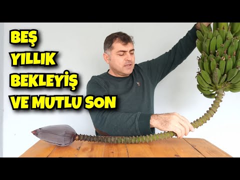 Yıllardır Uğraşıyordum ve Başardım