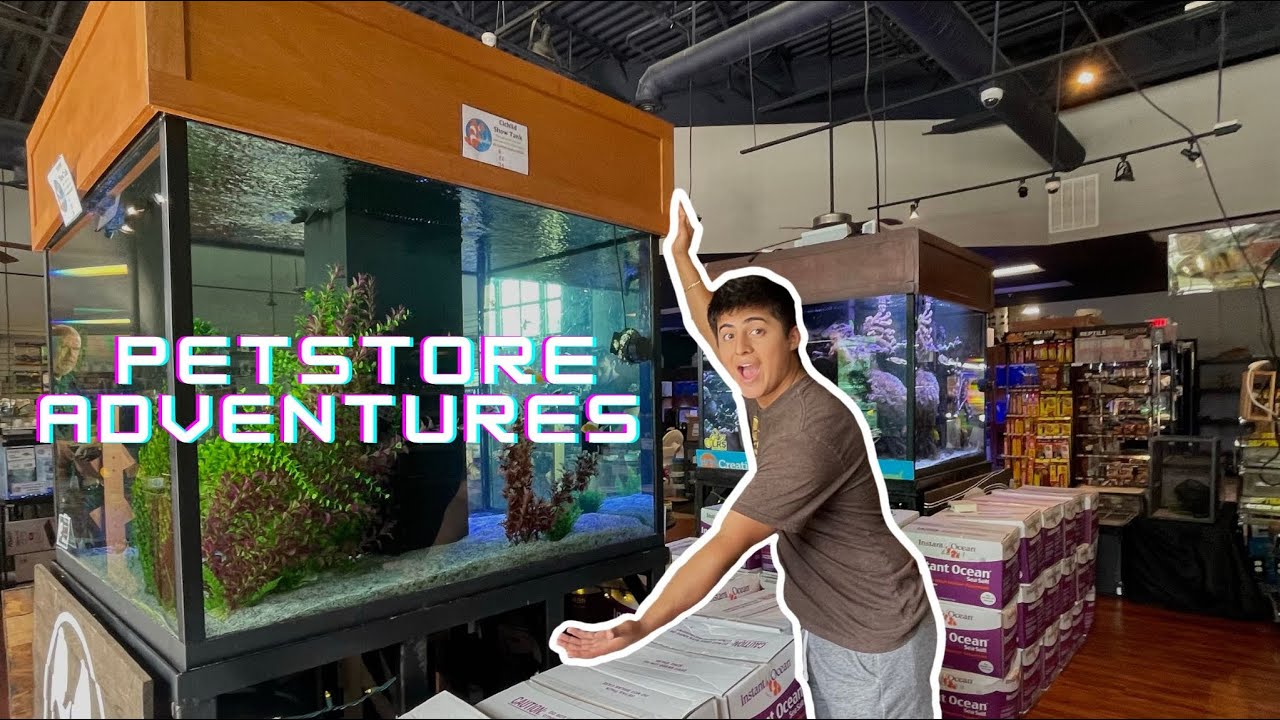A day in Atlanta!!(VISITING CRAZY PET STORES!!!) - YouTube