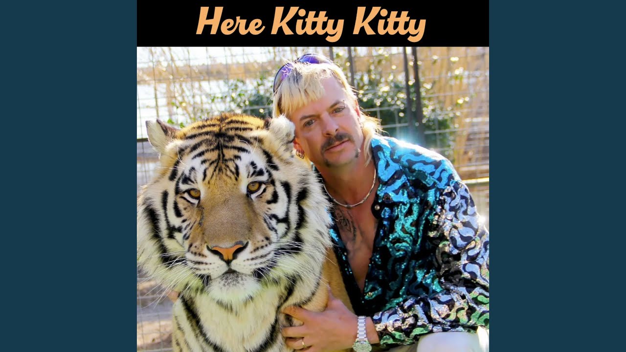 Here Kitty Kitty - YouTube