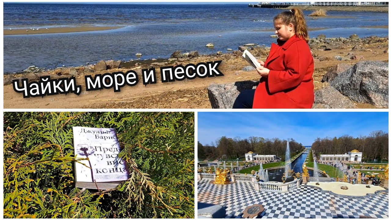 Марафон 3 книги за 3 дня или 4😚 День 4 дополнительный балдешь