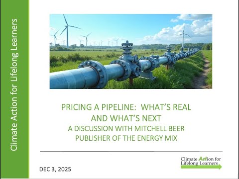 MITCHELL BEER ON "PRICING A PIPELINE: WHAT'S REAL & WHAT's NEXT?" (CALL ...