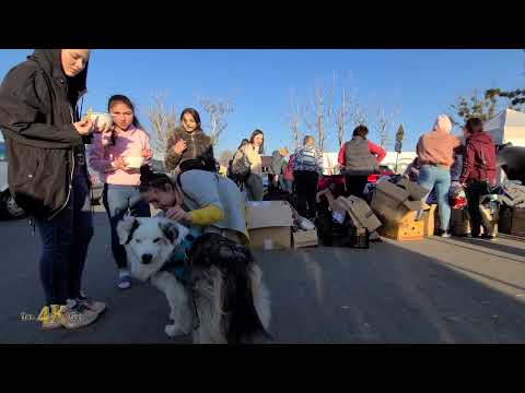 Przemysl: Warehouse parking lot turned into refugee camp for Ukrainians 3-24-2022